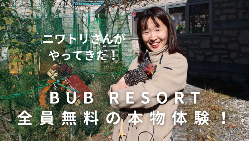 BUB RESORT八ケ岳｜自然を感じる山梨県八ヶ岳のグランピングテーマパーク